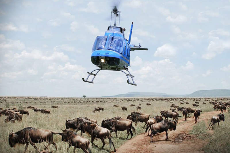 B 206 Jet Ranger | Fleet | BAR Aviation